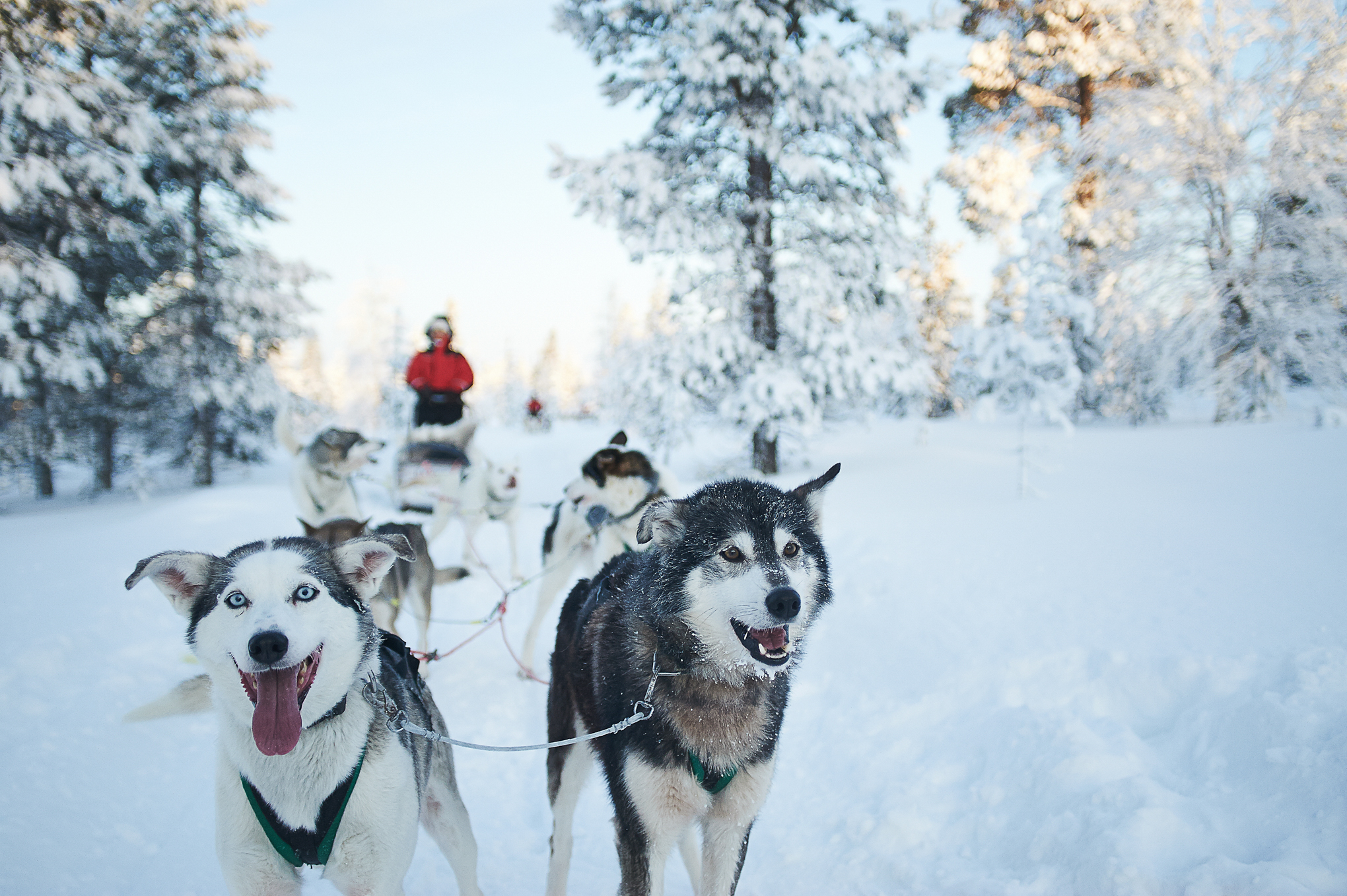 Five Alternative Stag Do Activities To Try | The Stag And Hen Experience